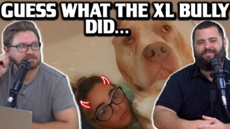 Fleccas Talks, The Podcast. - The National Pulse