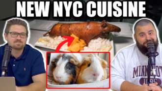 Fleccas Talks, The Podcast. - The National Pulse