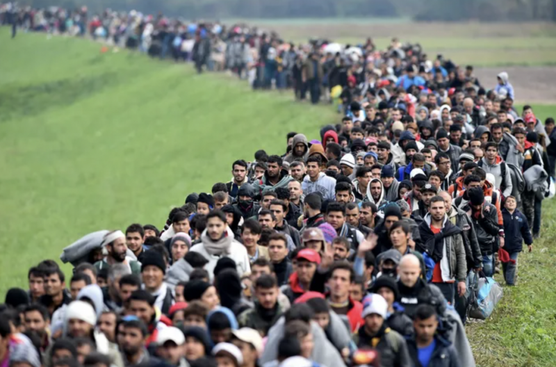 Twenty Years Ago, a Mass Migration Plot Was Hatched to Help the Left ...